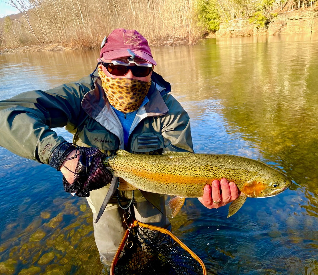 Poly Fluff & Spring Guiding - Barry and Cathy Beck Blog